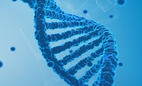 Cancer Genomics Lab - Johns Hopkins