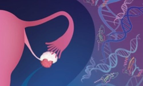 Cancer Genomics Lab - Johns Hopkins