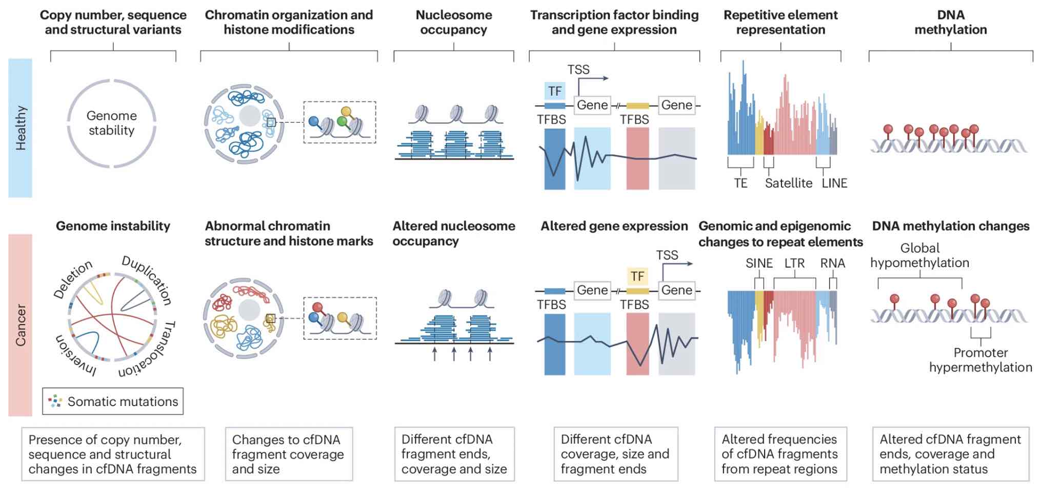 Cancer Genomics Lab - Johns Hopkins